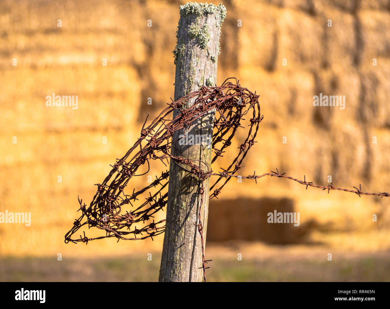 Abstract background. A piece of rusty barbed wire Stock Photo - Alamy