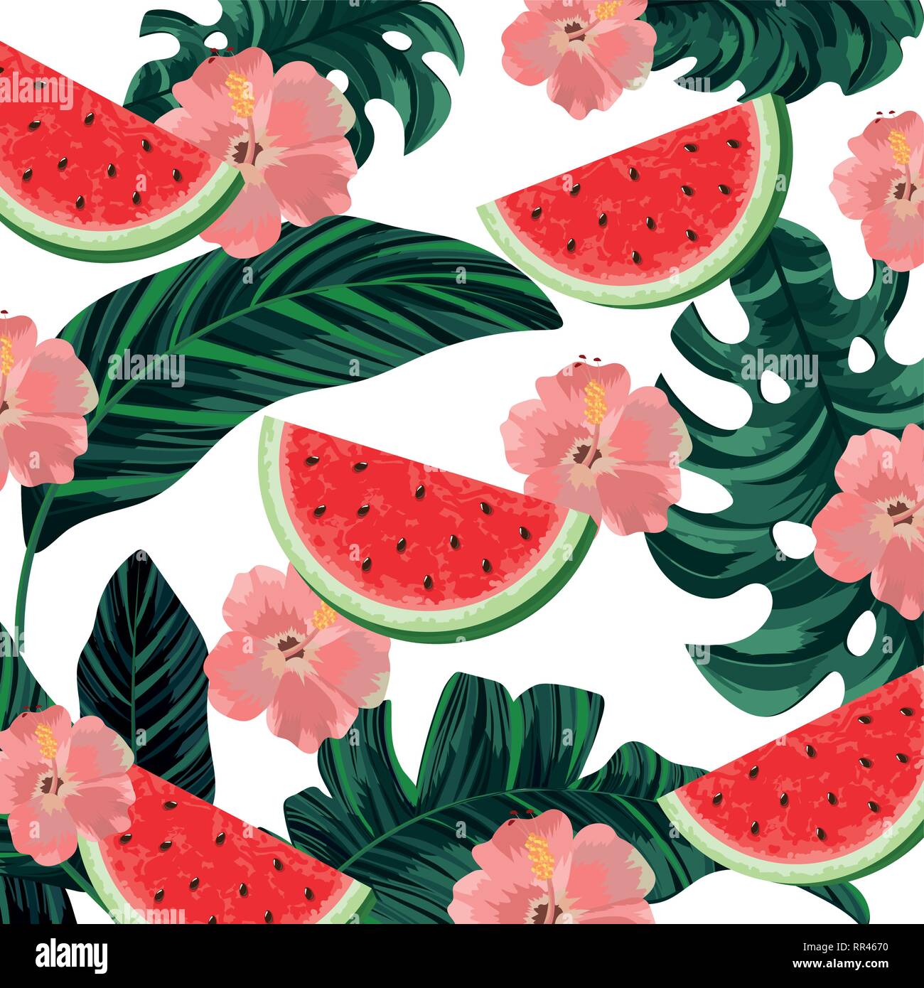 beautiful tropical flowers cartoon Stock Vector Image & Art - Alamy