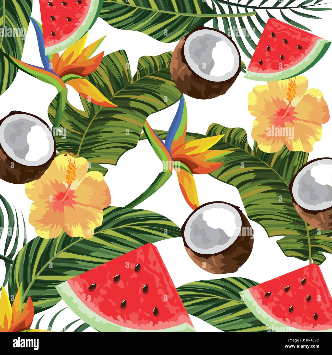 beautiful tropical flowers cartoon Stock Vector Image & Art - Alamy