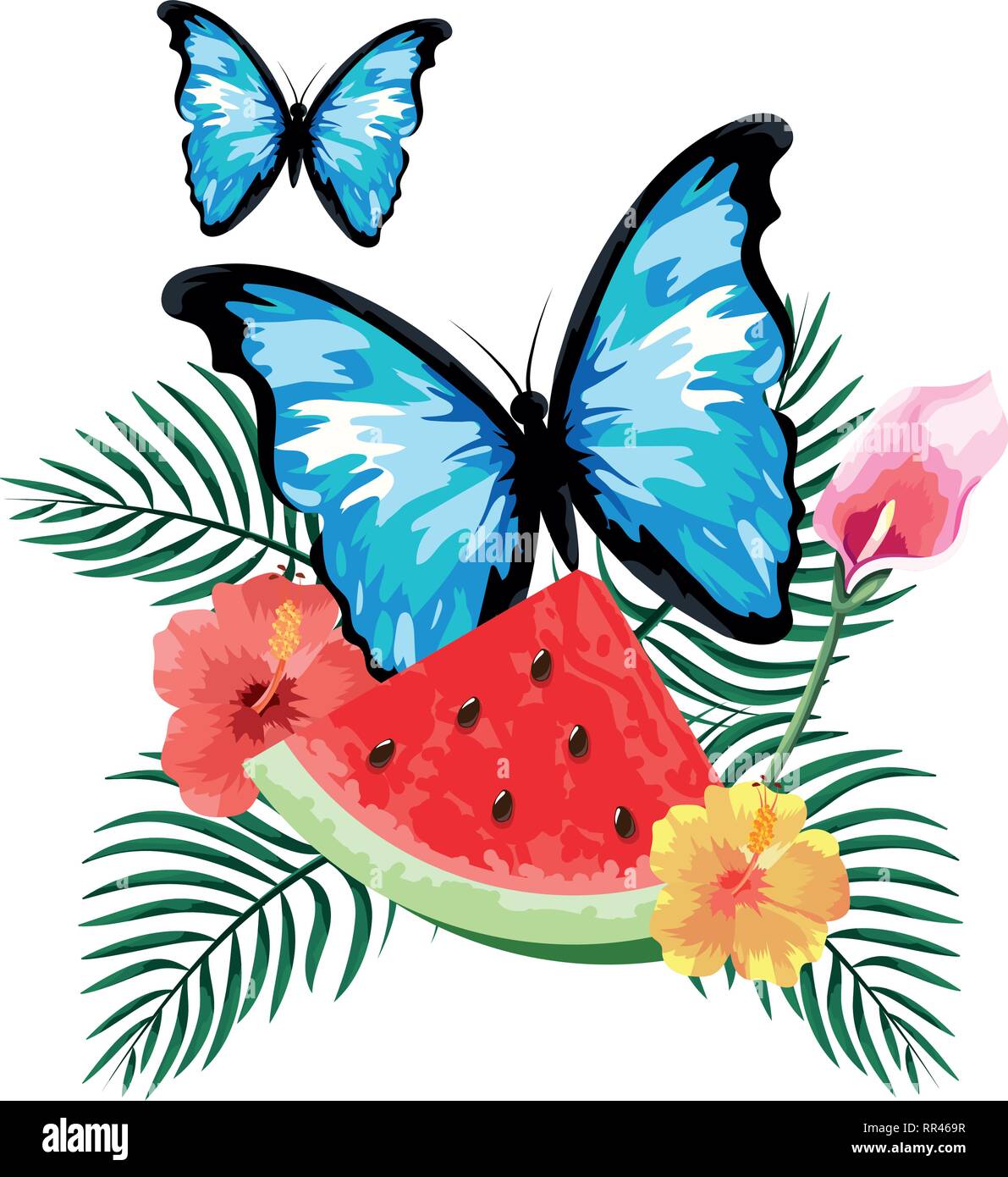 beautiful butterfly cartoon Stock Vector Image & Art - Alamy