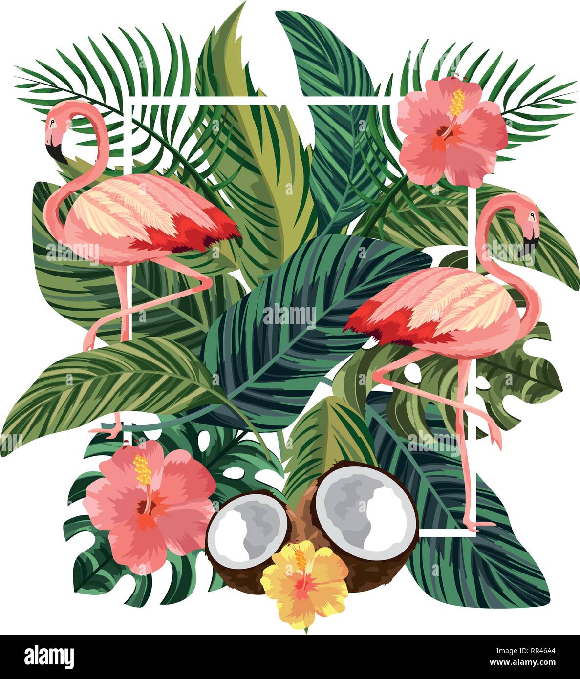 beautiful tropical flowers cartoon Stock Vector Image & Art - Alamy