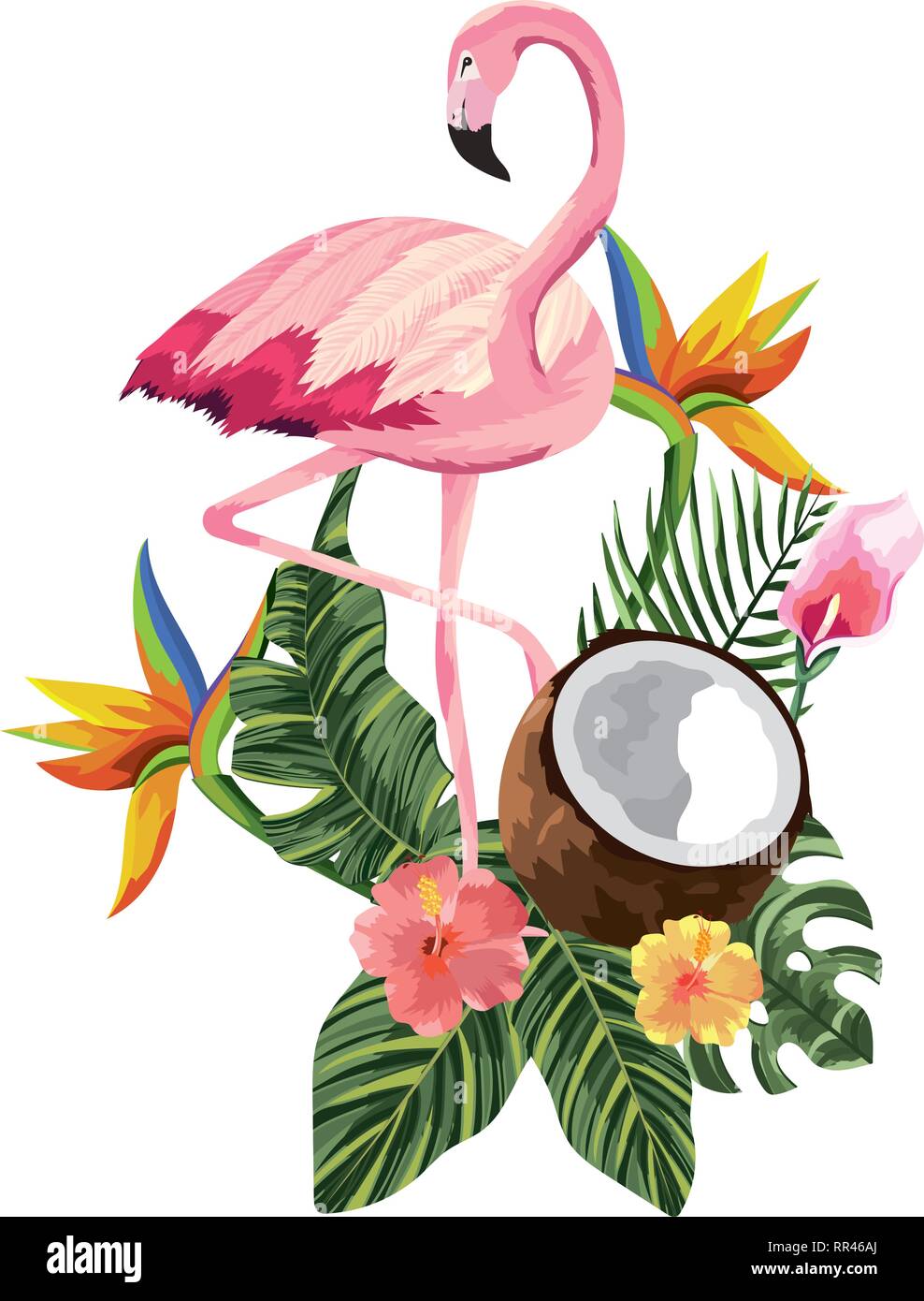 tropical flamingo cartoon Stock Vector Image & Art - Alamy