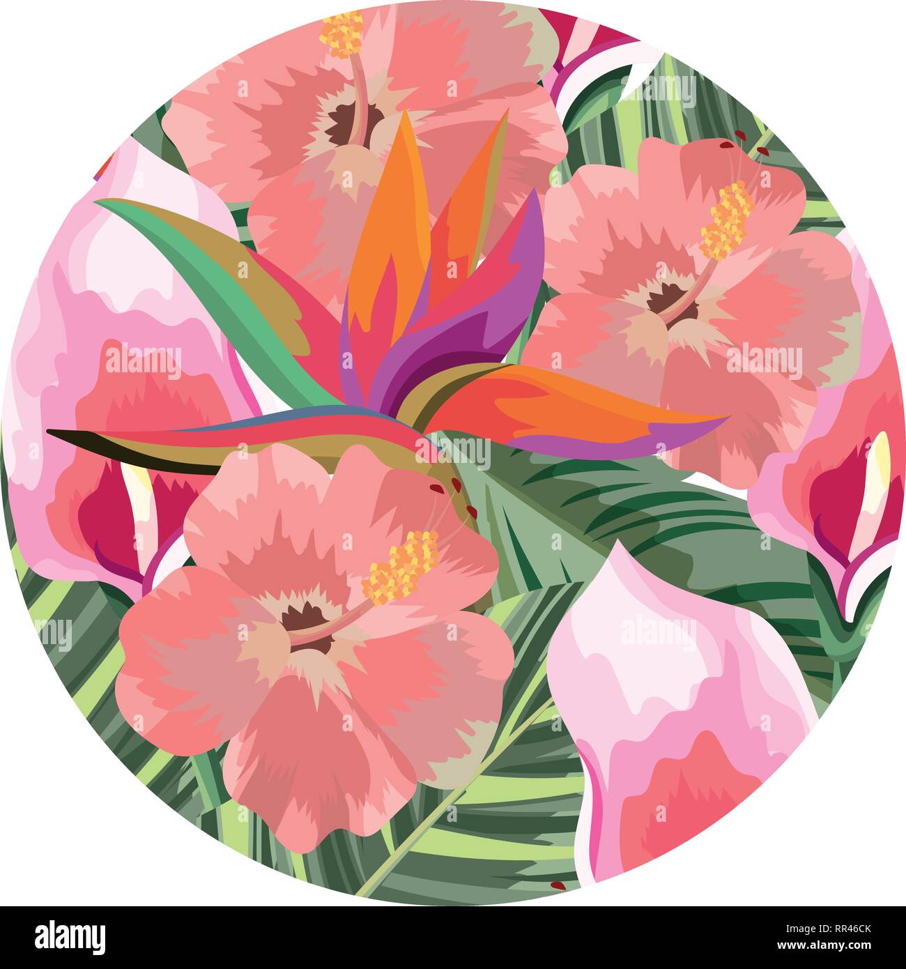 beautiful tropical flowers cartoon Stock Vector Image & Art - Alamy