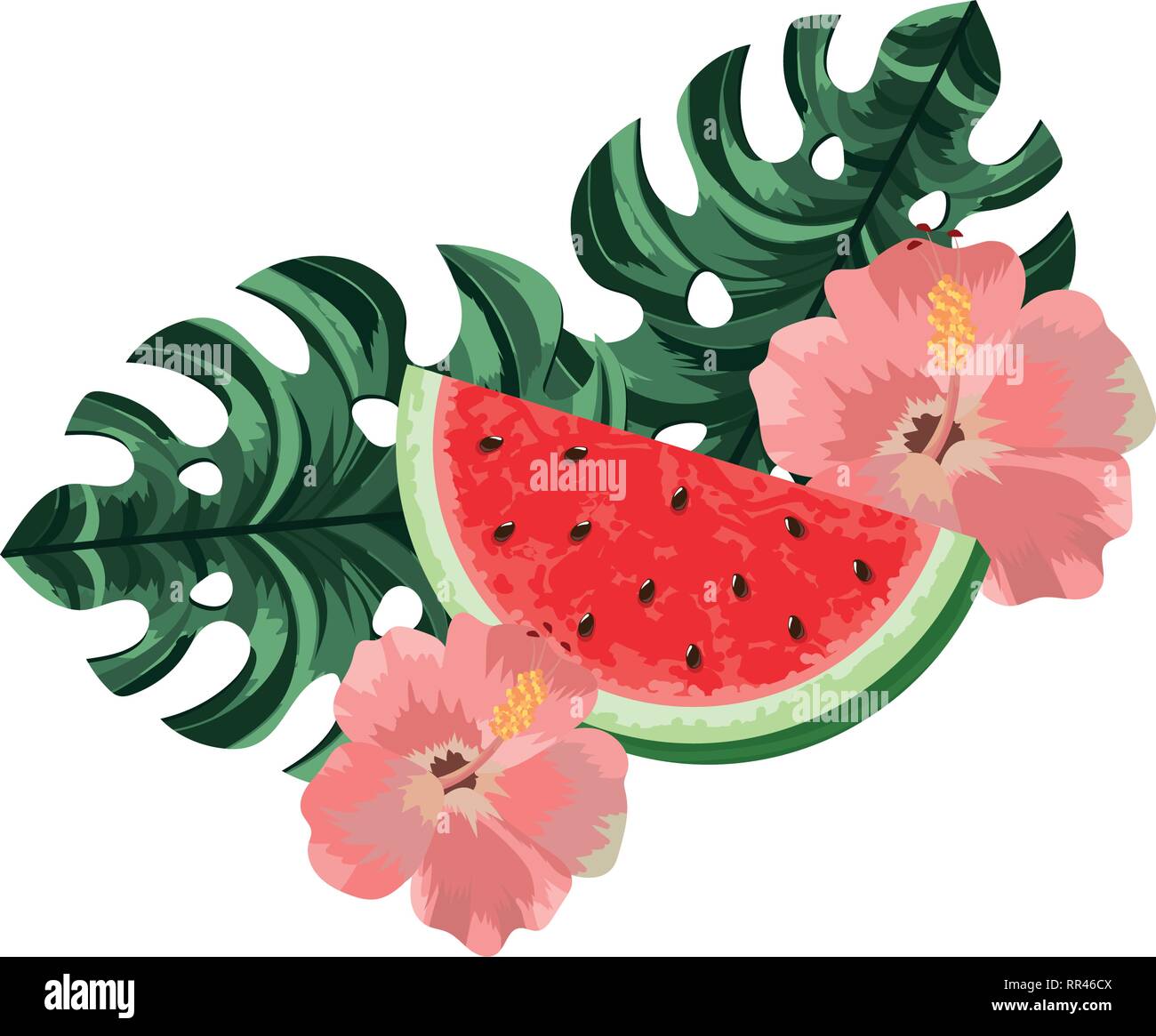 Melon flowers Stock Vector Images - Alamy