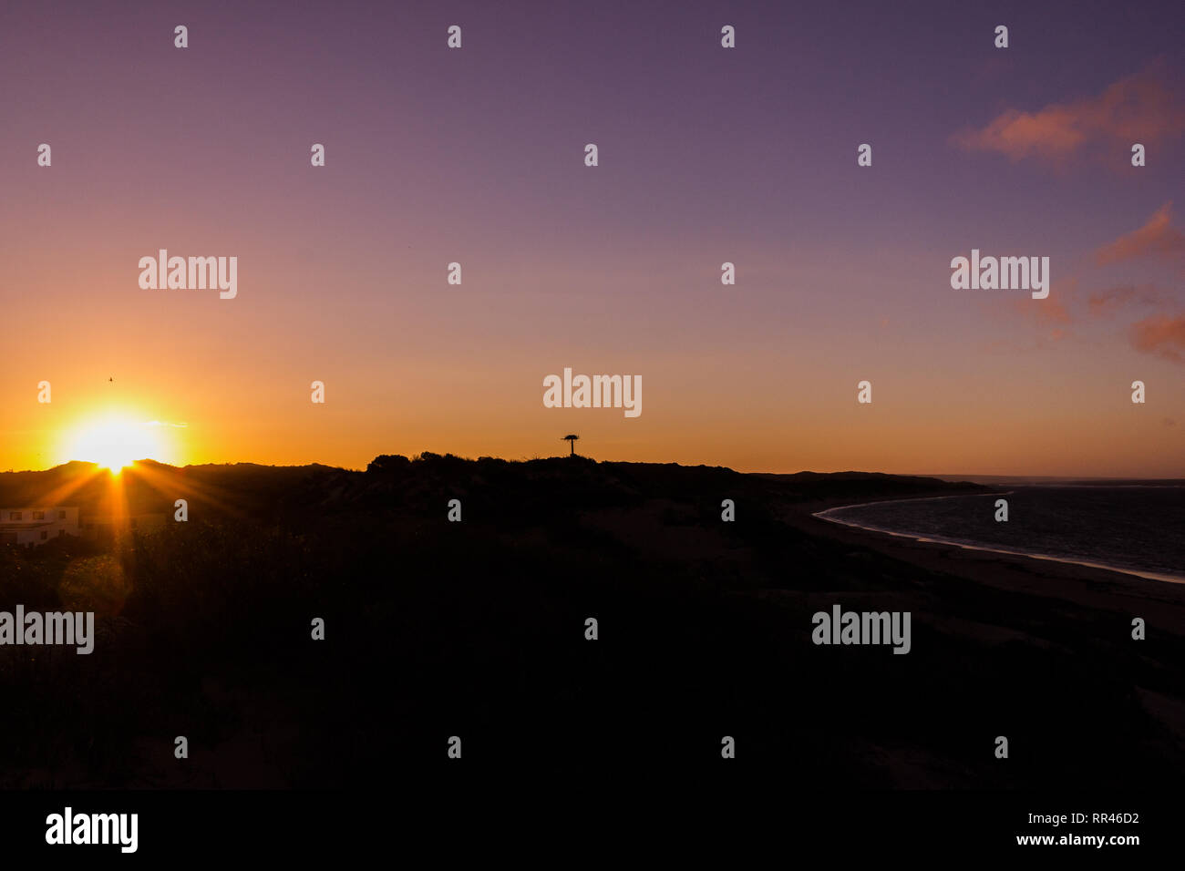 Natural Sunset Sunrise over a beach with birds at the sun, australia ...