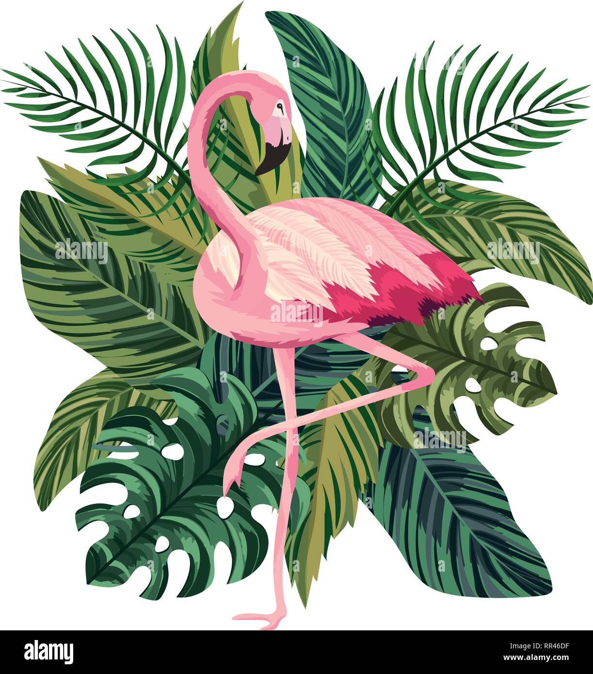 tropical flamingo cartoon Stock Vector Image & Art - Alamy