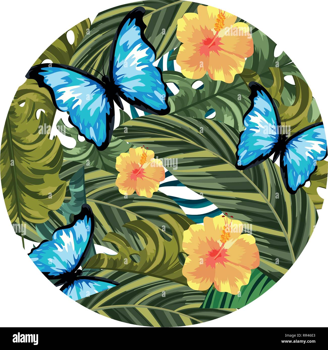 beautiful butterfly cartoon Stock Vector Image & Art - Alamy
