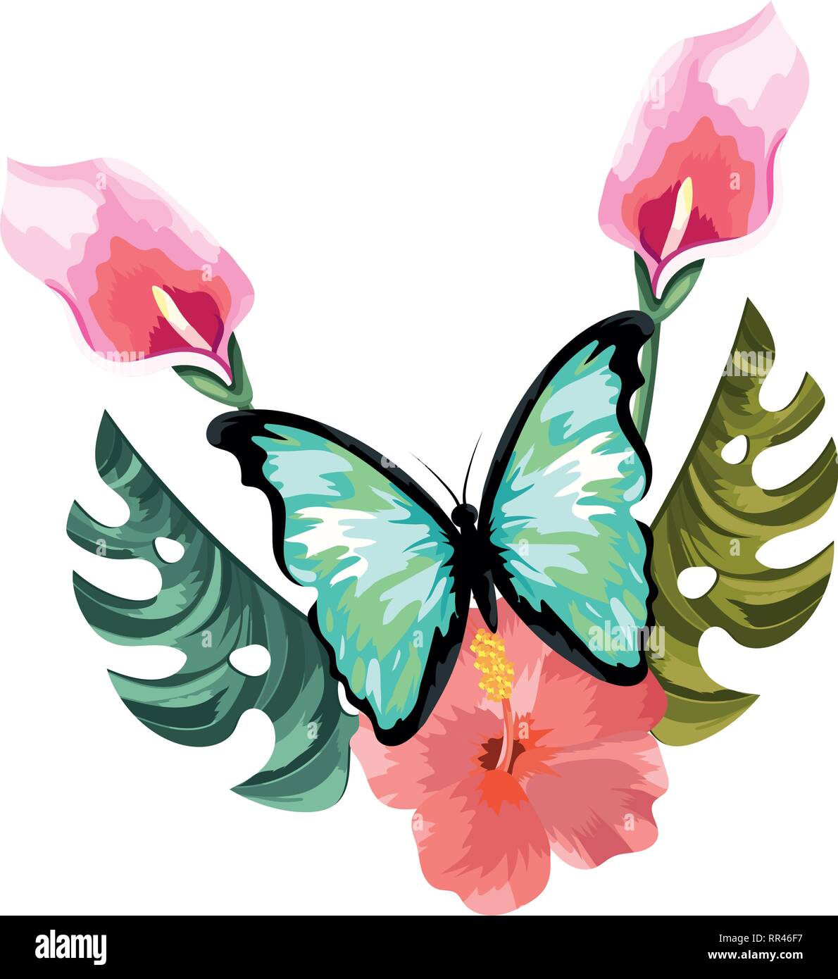 beautiful butterfly cartoon Stock Vector Image & Art - Alamy