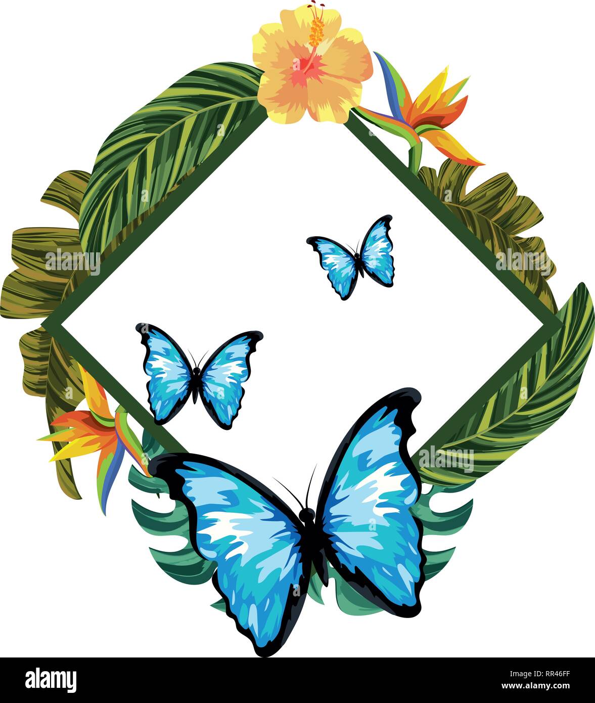 beautiful butterfly cartoon Stock Vector Image & Art - Alamy