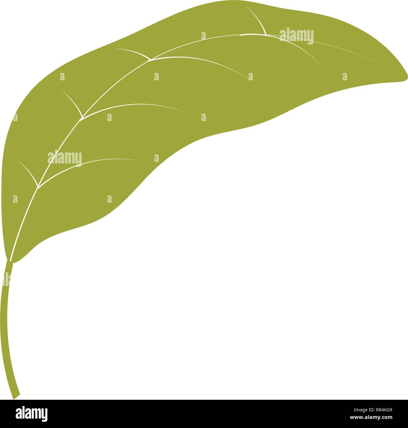 nature leaf cartoon Stock Vector Image & Art - Alamy