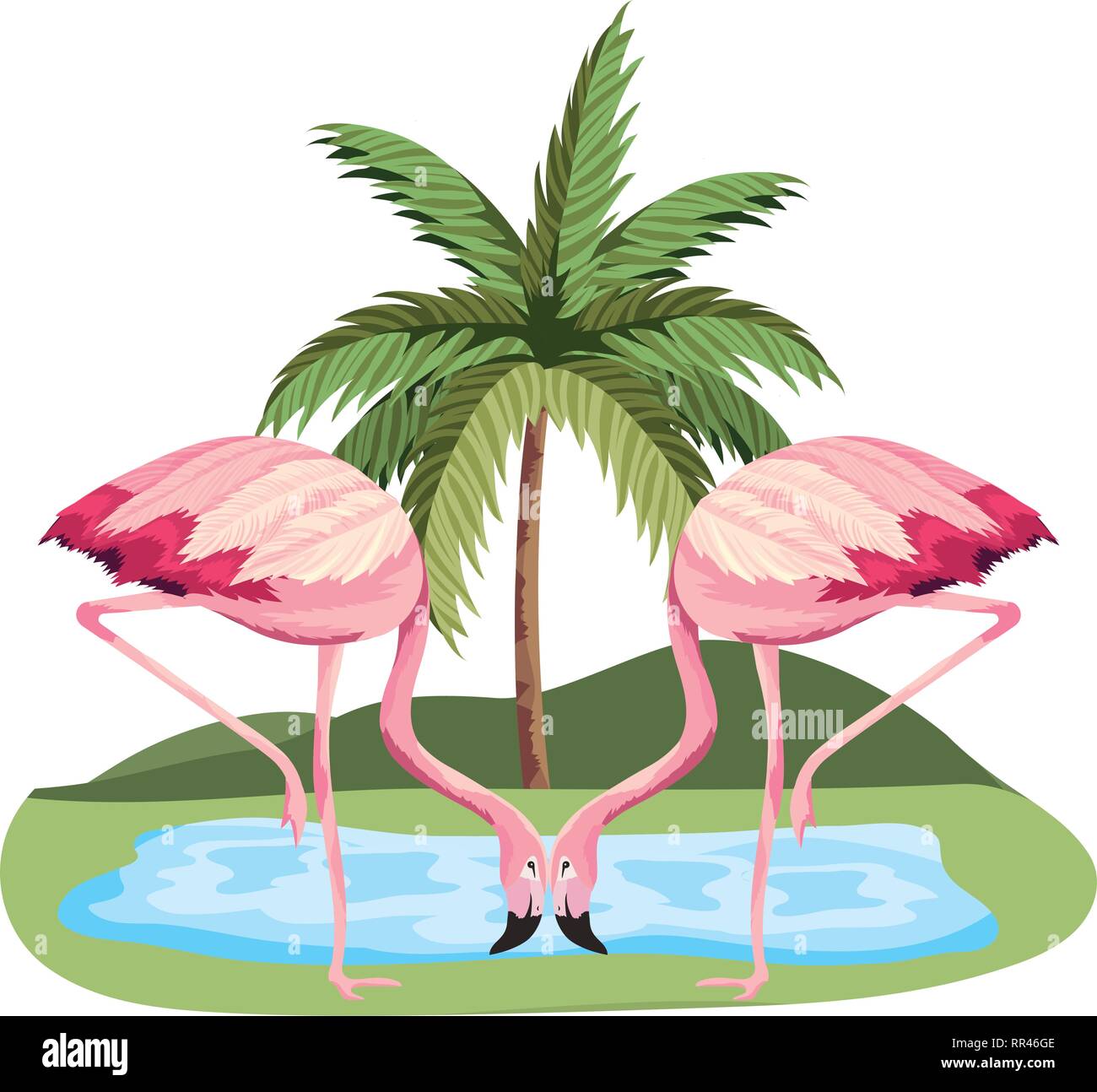 tropical flamingos cartoon Stock Vector Image & Art - Alamy