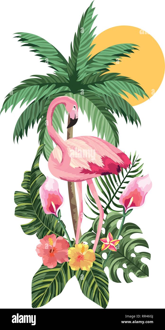 tropical flamingo cartoon Stock Vector Image & Art - Alamy