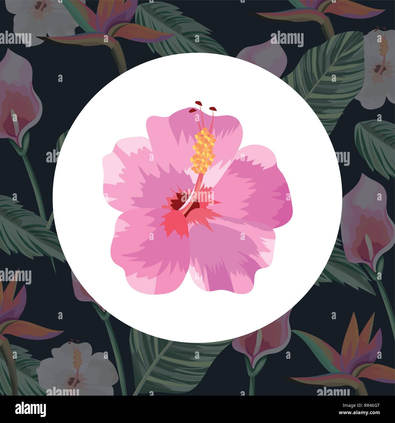 tropical flowers cartoon Stock Vector Image & Art - Alamy