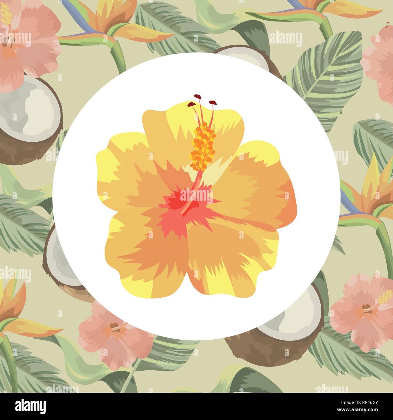 tropical flowers cartoon Stock Vector Image & Art - Alamy