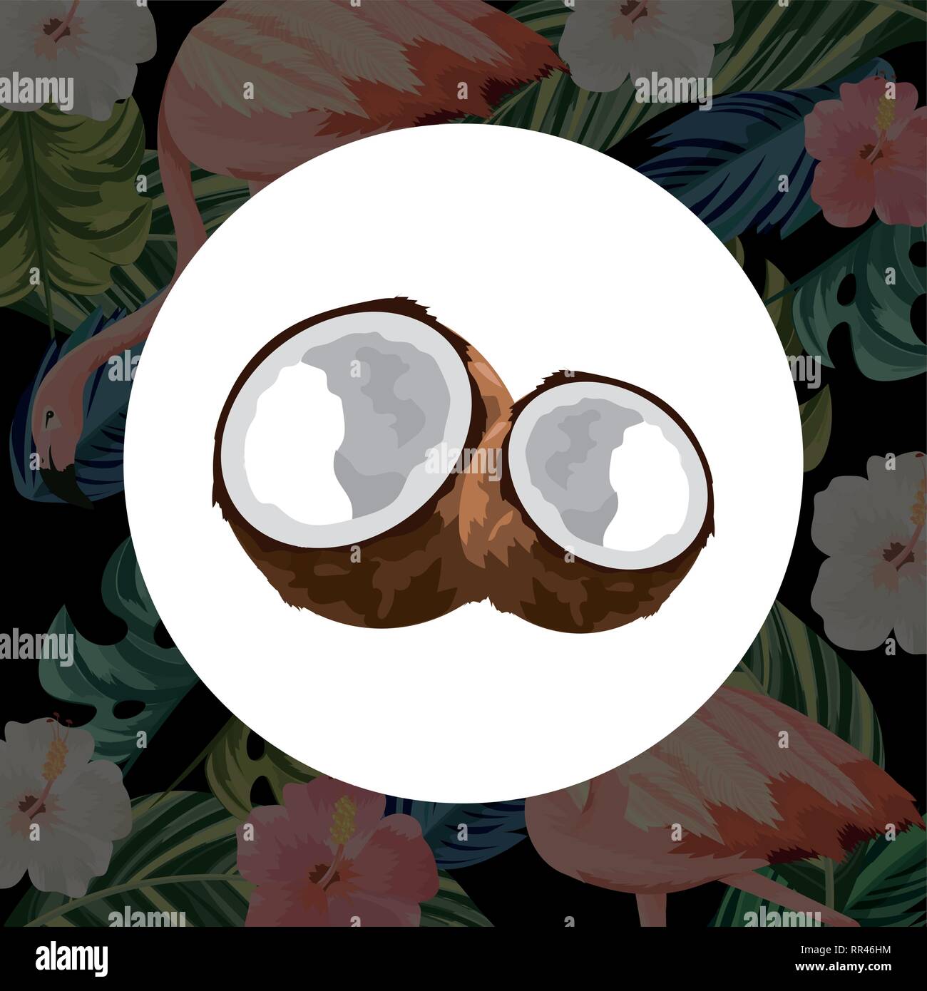 tropical coconut cartoon Stock Vector Image & Art - Alamy