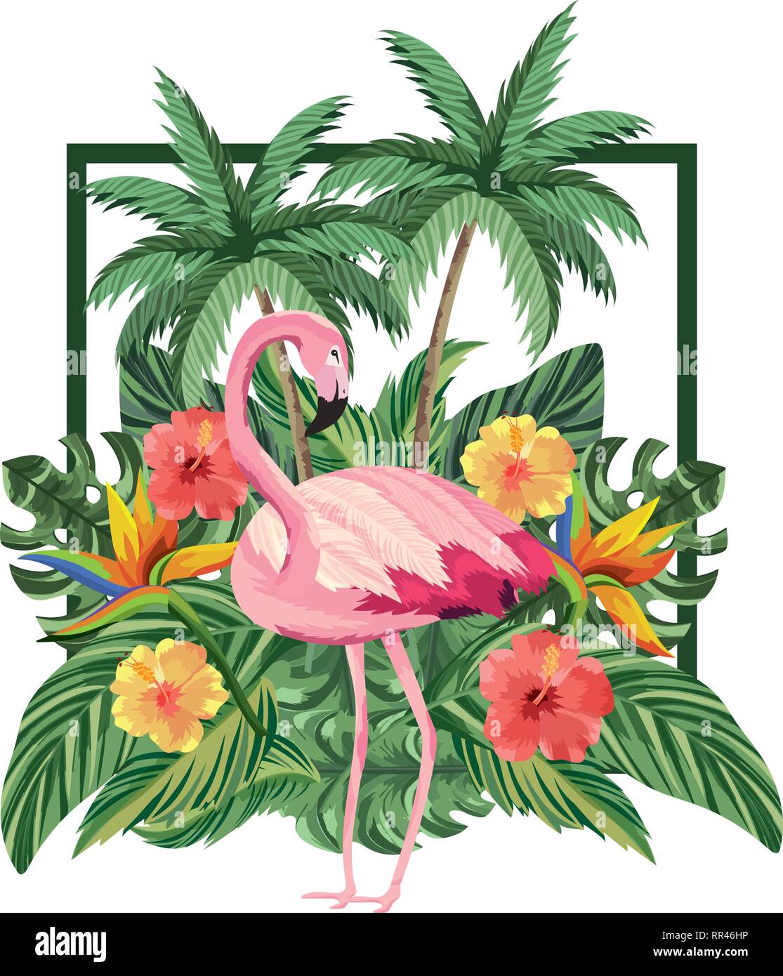 tropical flamingo cartoon Stock Vector Image & Art - Alamy