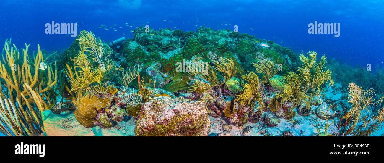 Underwater caribbean panorama hi-res stock photography and images - Alamy