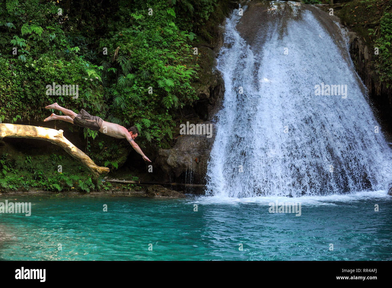 Island gully falls jamaica hi-res stock photography and images - Alamy