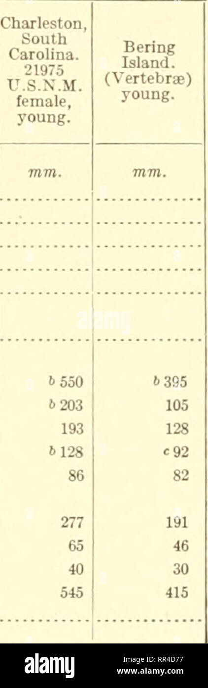 True dimensions hi-res stock photography and images - Alamy