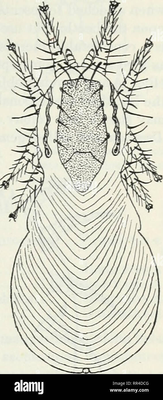 Coition hi-res stock photography and images - Alamy