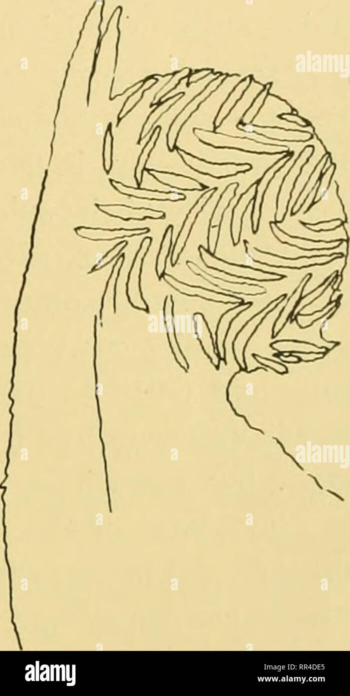 Longitudinal measuring hi-res stock photography and images - Alamy