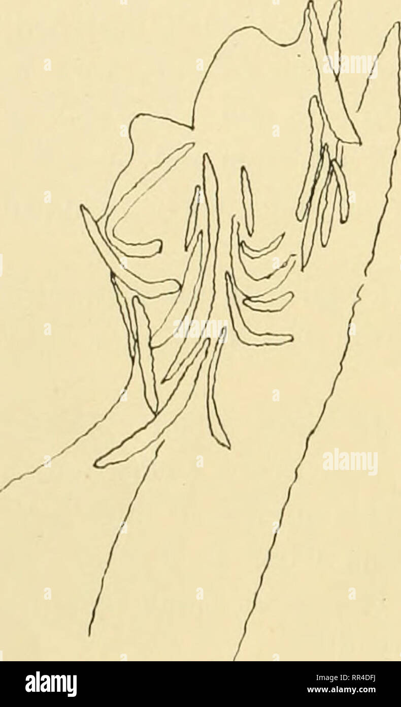 Height 46 3 cm hi-res stock photography and images - Alamy