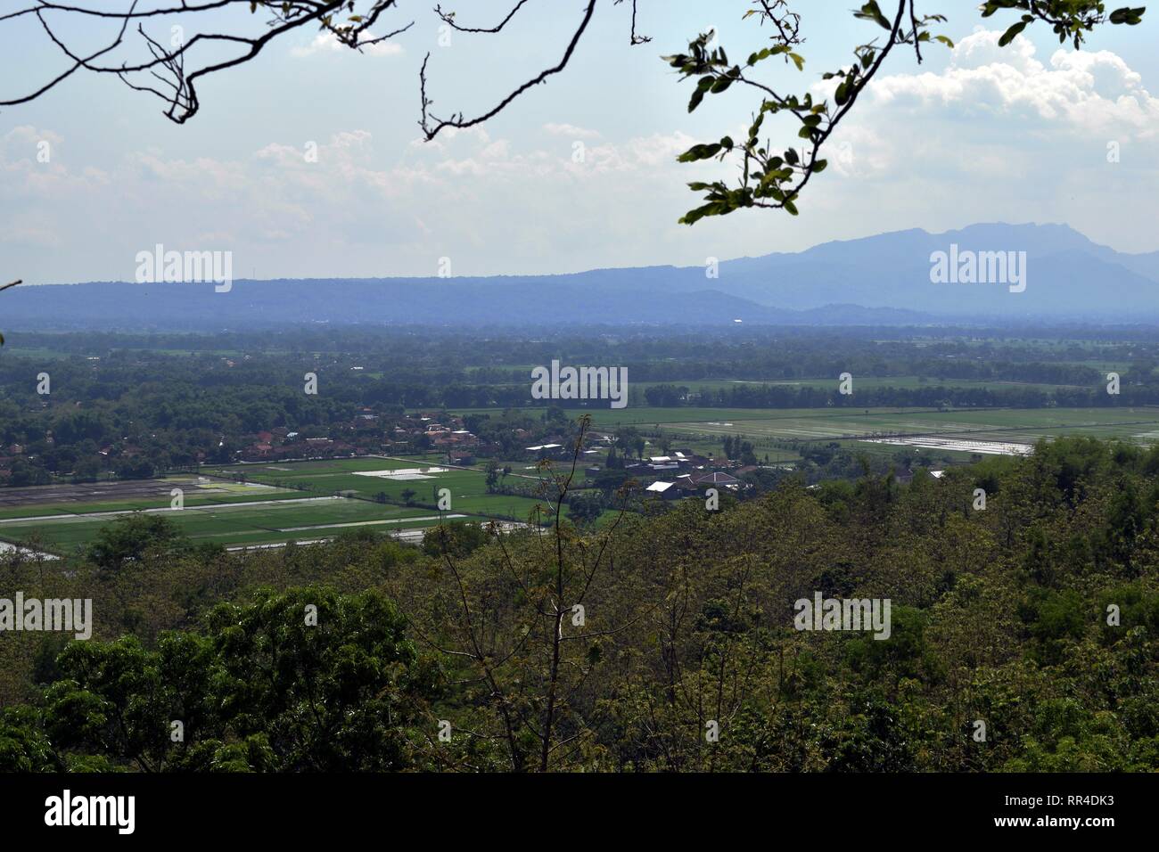 Explore natural beauty in central Java. right on taruwongso mountain ...