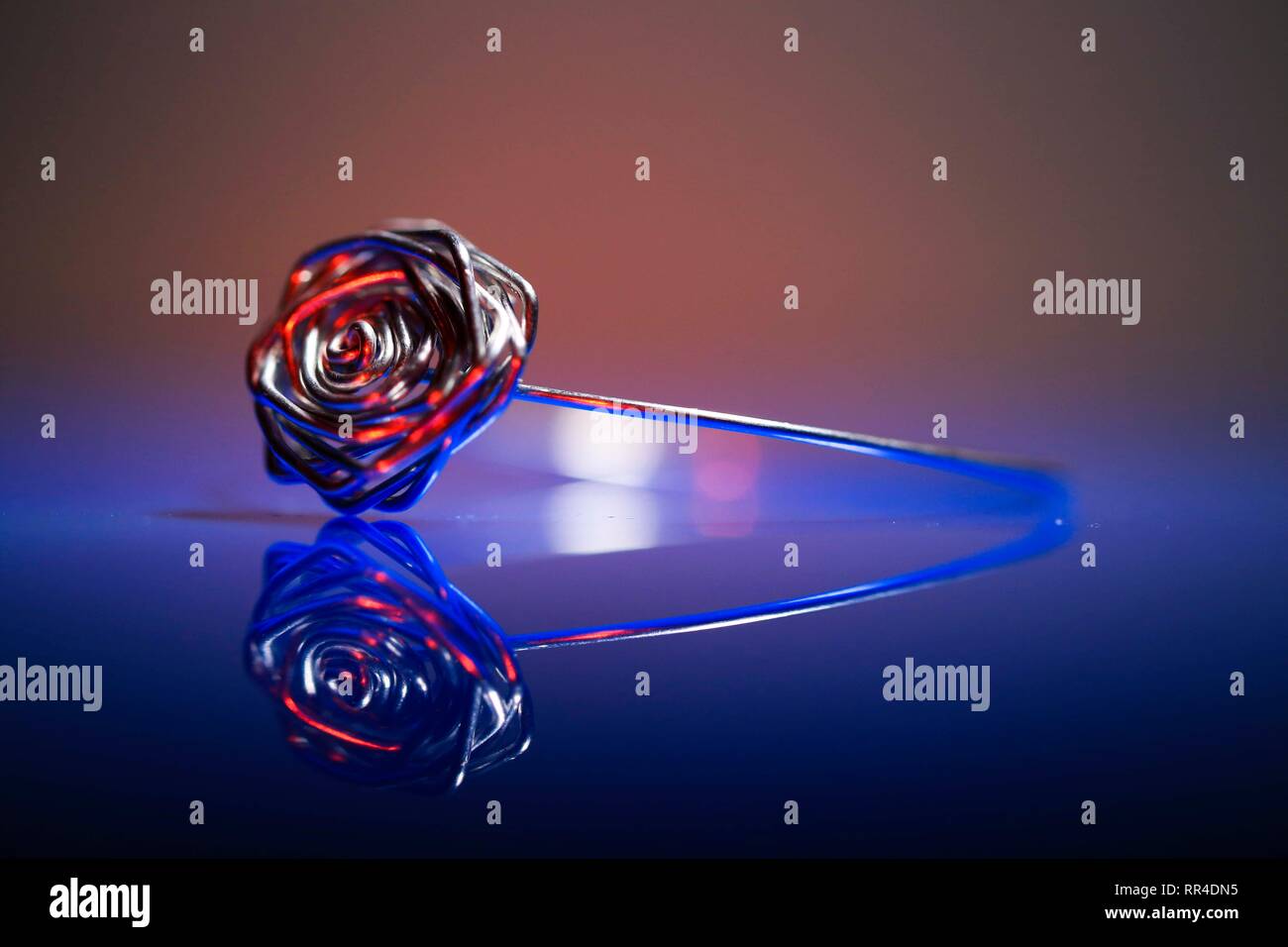 Wire art rose with reflection Stock Photo - Alamy