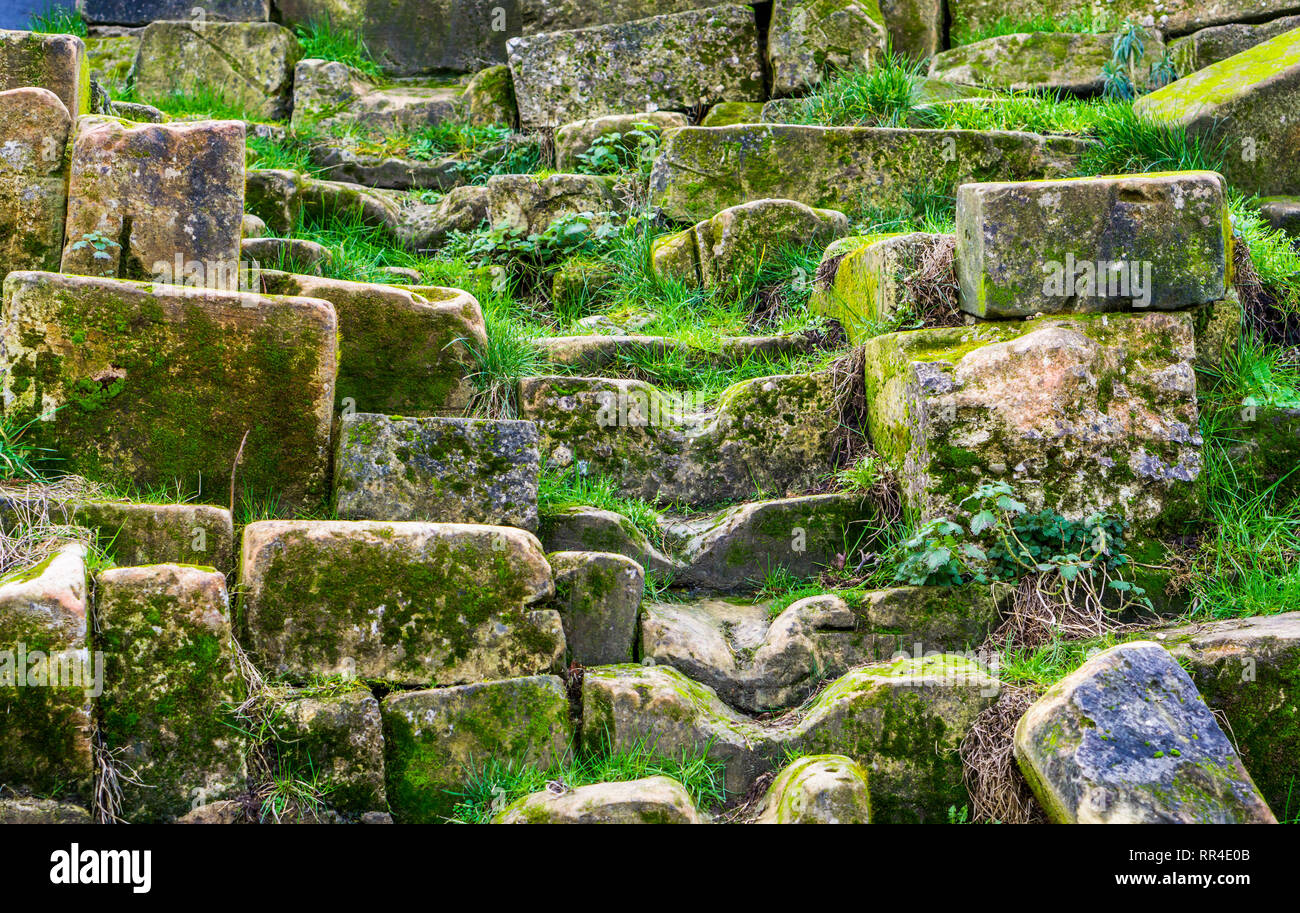 beautiful old stones covered in moss and grass, Historical architecture ...