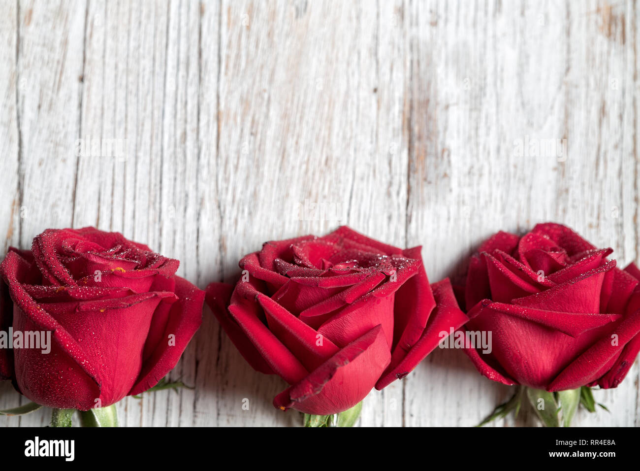 Three Red roses on light wooden background with copy space, top view - Image Stock Photo - Alamy