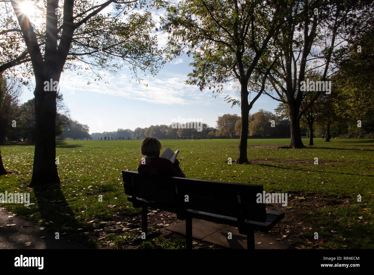 London park bench book hi-res stock photography and images - Alamy