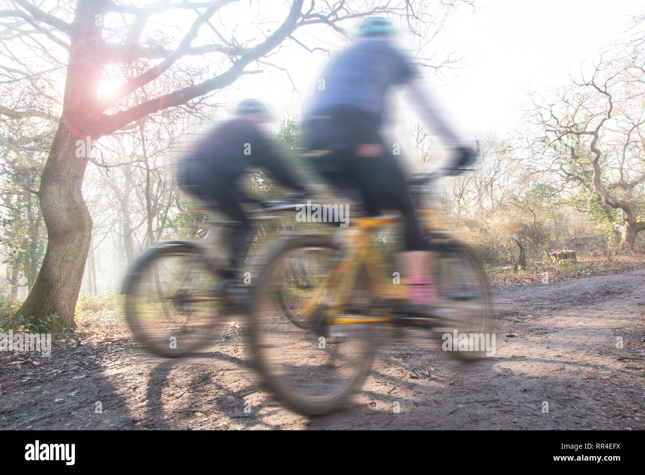 Cycling in the woods hi-res stock photography and images - Alamy