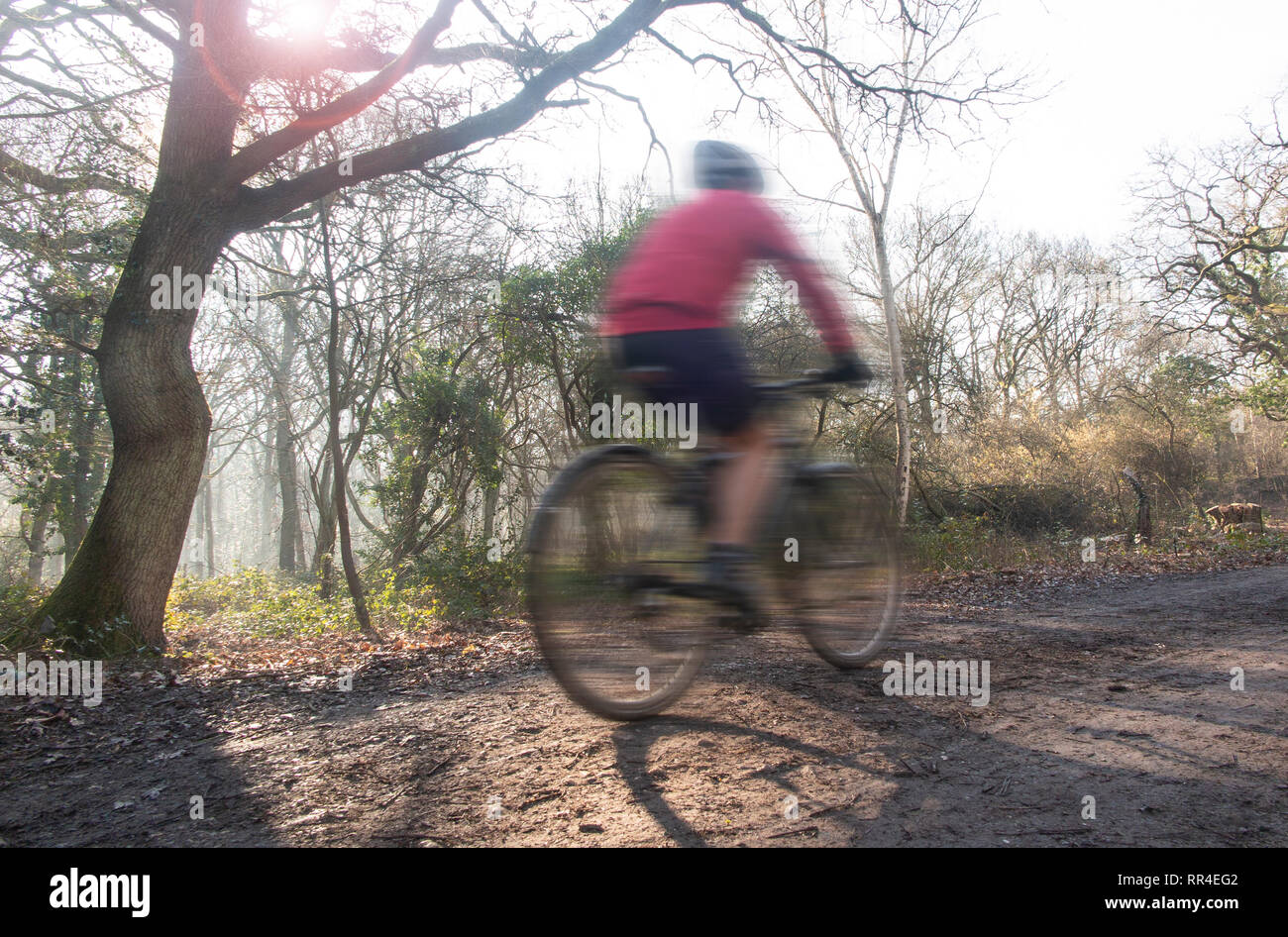Cycling in the woods hi-res stock photography and images - Alamy