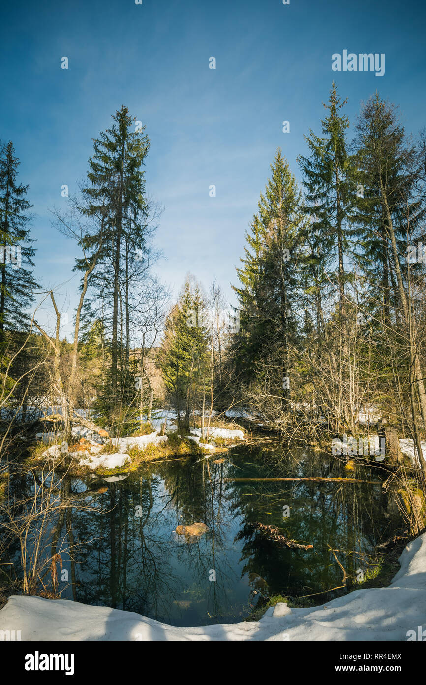 Winter landscape on the frozen Titisee in the Black Forest, germany ...