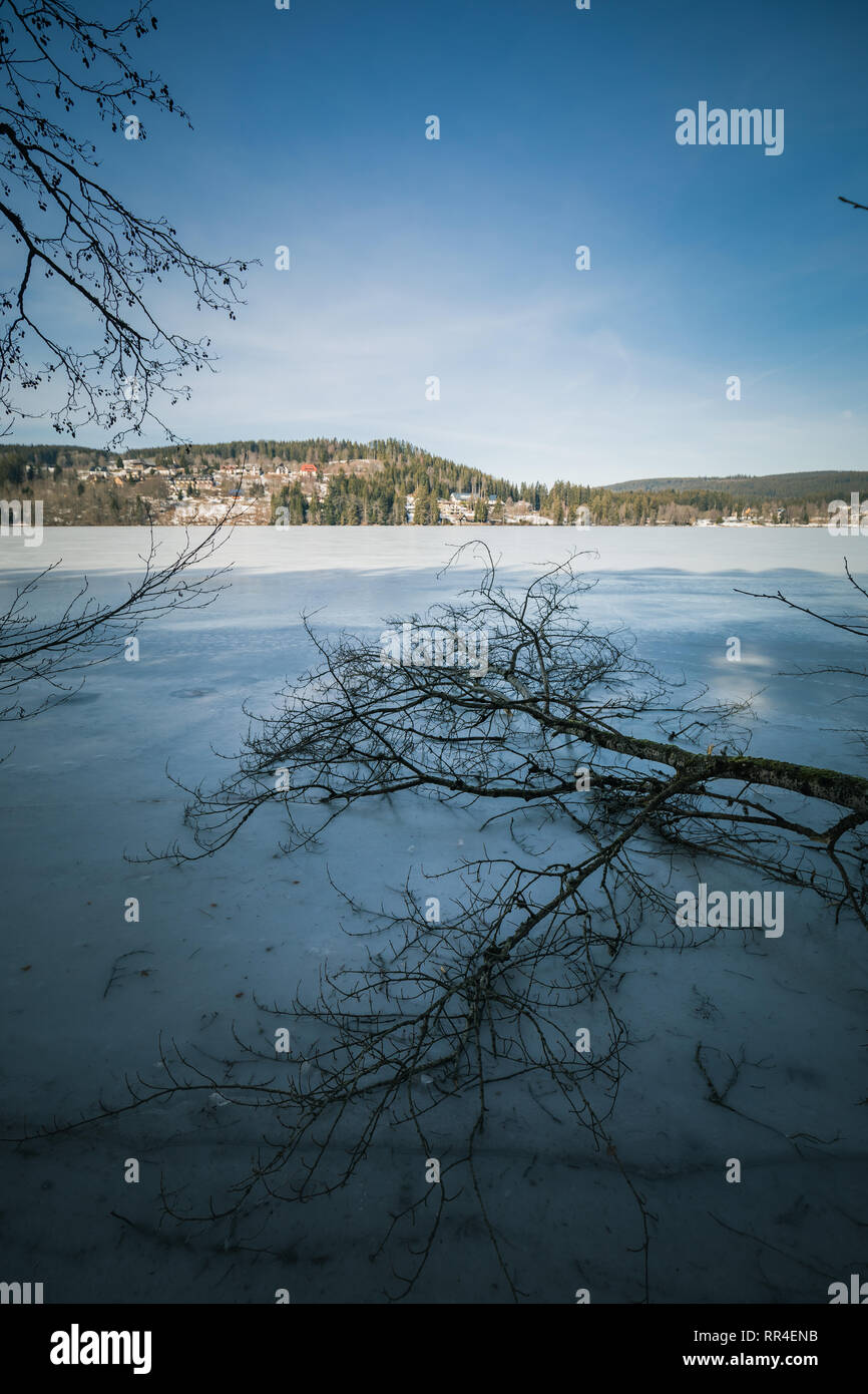 Winter landscape on the frozen Titisee in the Black Forest, germany ...