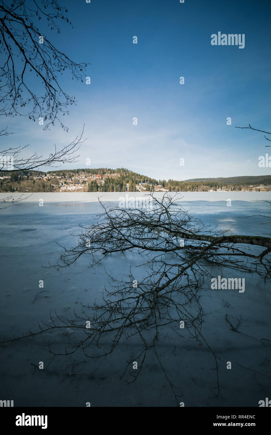 Winter landscape on the frozen Titisee in the Black Forest, germany ...