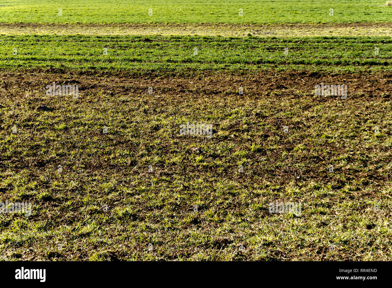 horizontal background of grass and dirt fields in different colors and ...