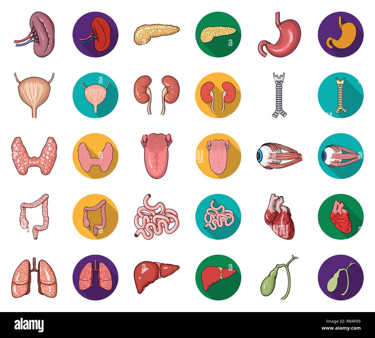 Urinary bladder illness Stock Vector Images - Alamy