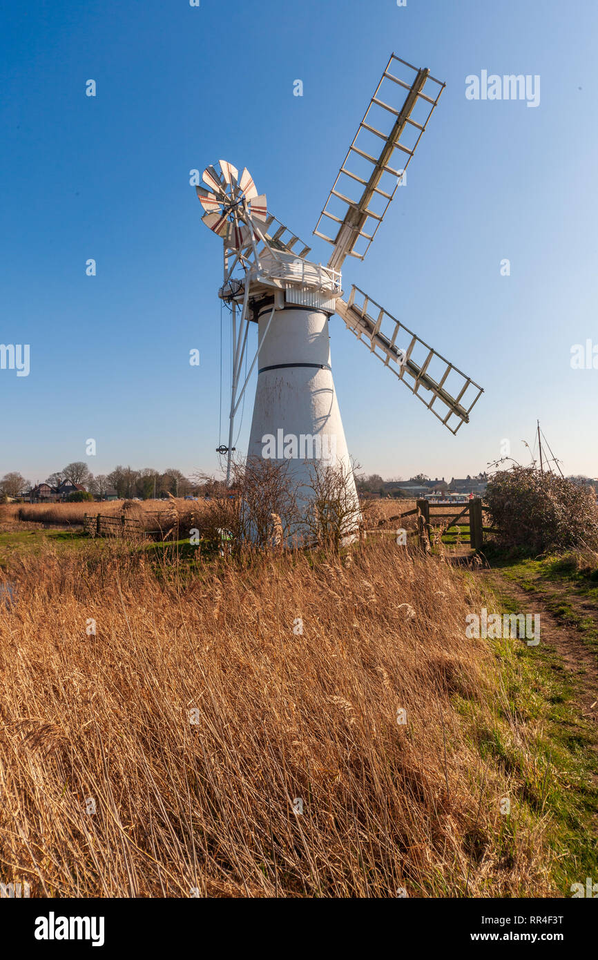 thurne mill, windmill in nofolk on thr norfolk broads spring uk Stock ...
