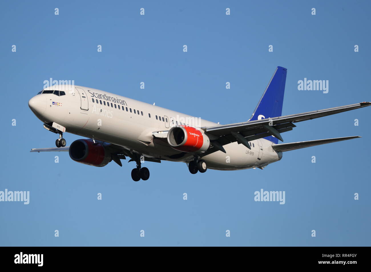 SAS Boeing 737 LN-RPR landing at London Heathrow Airport, UK Stock ...