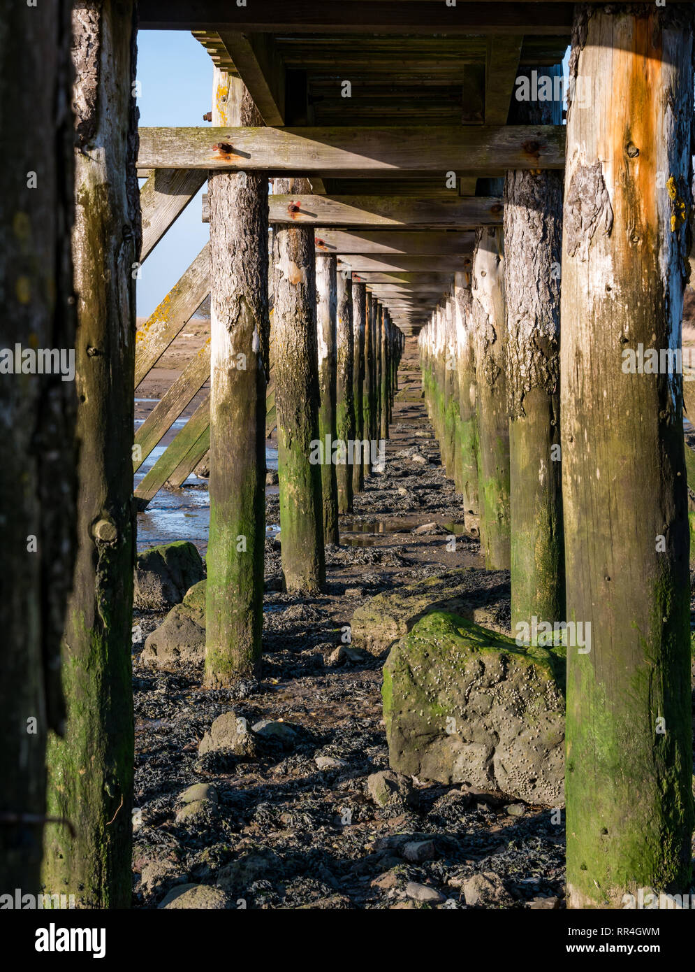 Struts hi-res stock photography and images - Alamy