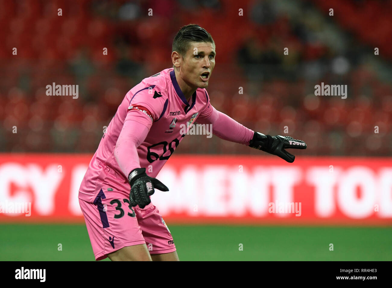 Spotless Stadium, Sydney, Australia. 24th Feb, 2019. A League football ...