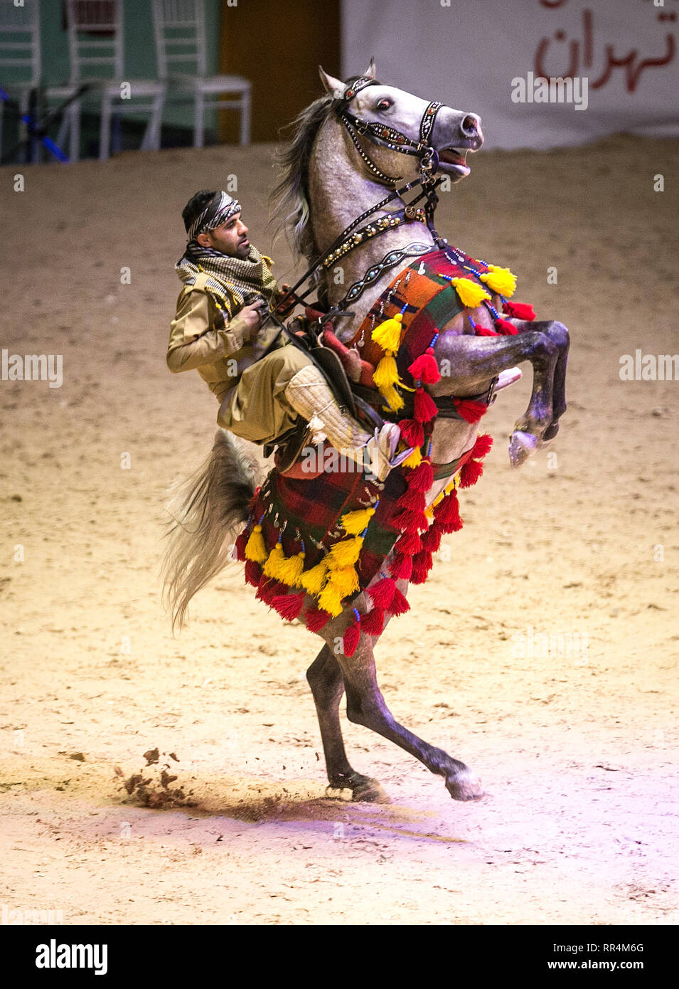 Tehran, Iran. 23rd Feb, 2019. An Iranian rider performs horse riding at ...