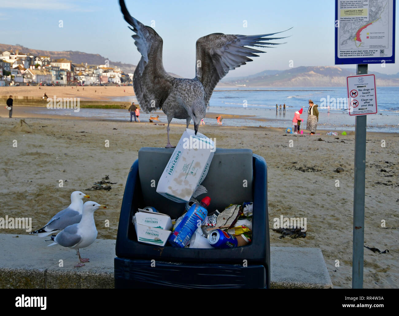 Litter bin feed me hi-res stock photography and images - Alamy