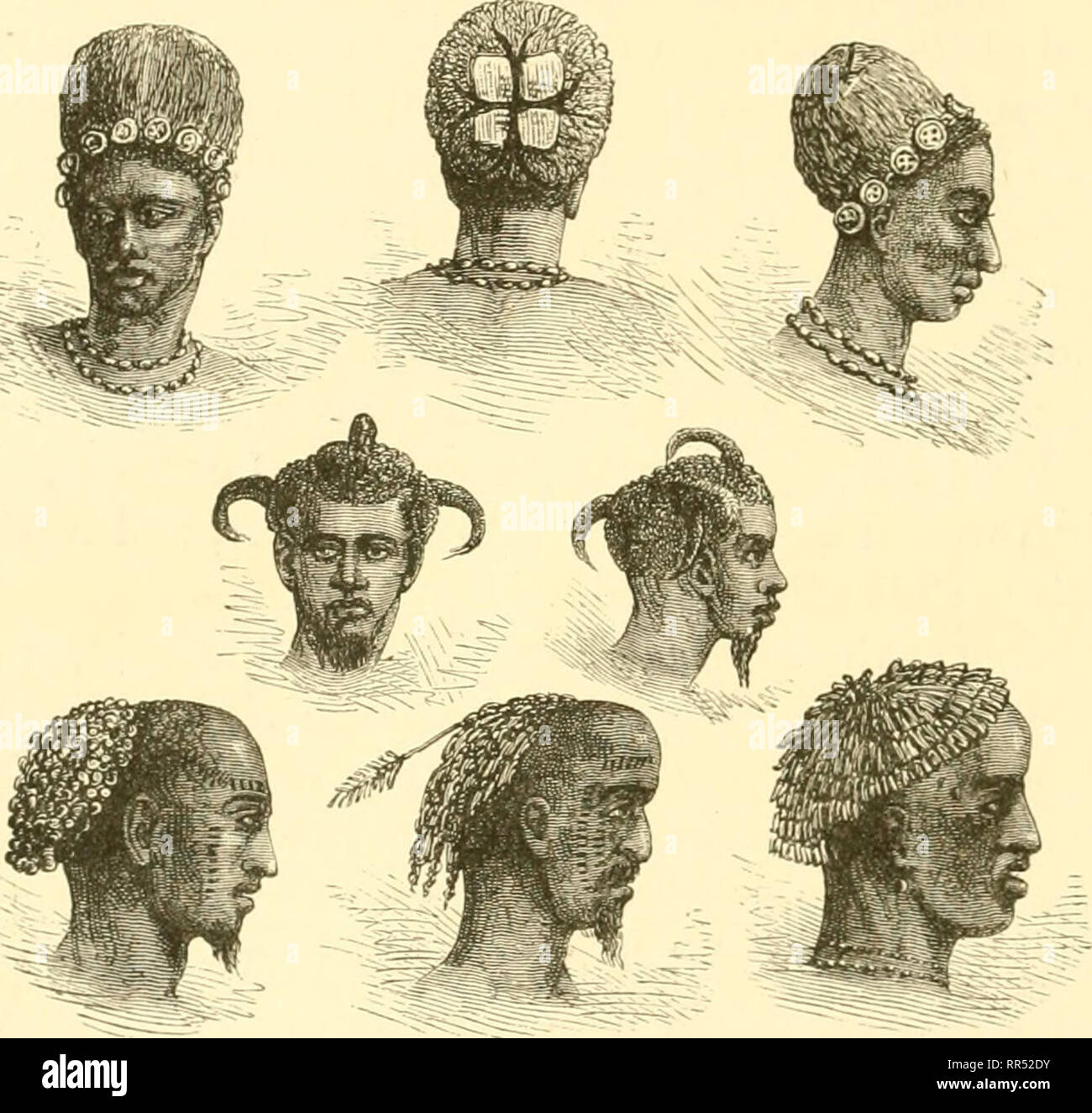 Back of peoples heads hi-res stock photography and images - Alamy