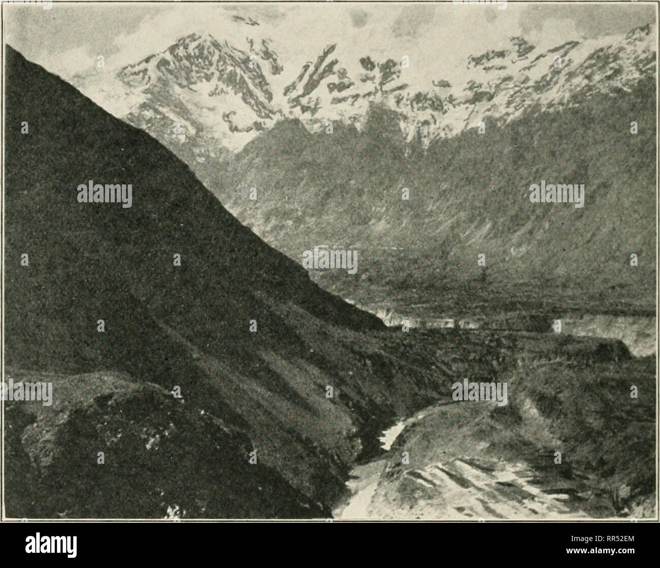 Kanjut hi-res stock photography and images - Alamy