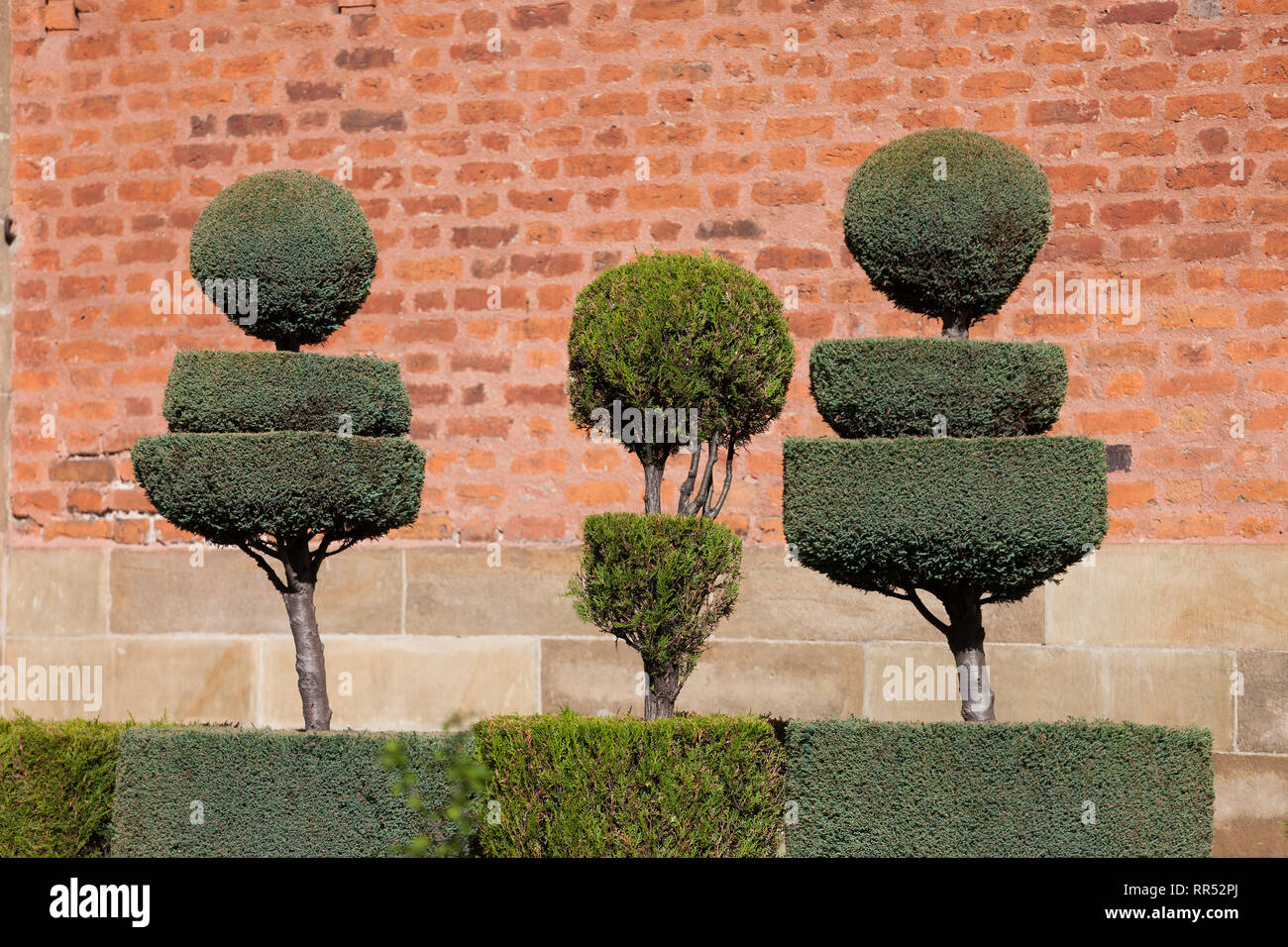 Clipped hedge formal hi-res stock photography and images - Alamy