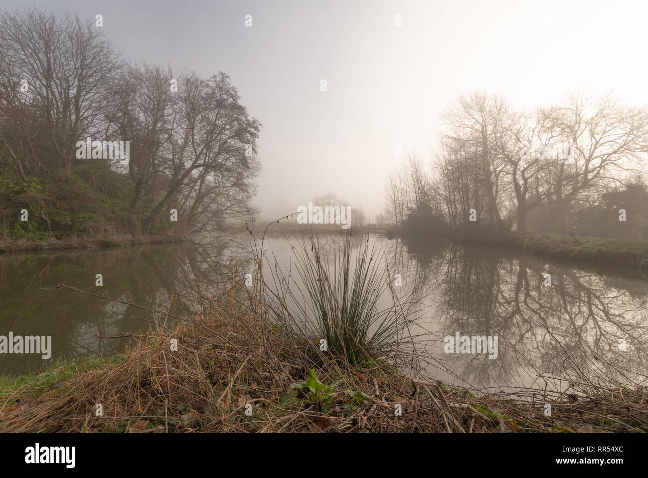 Thick mist hi-res stock photography and images - Alamy
