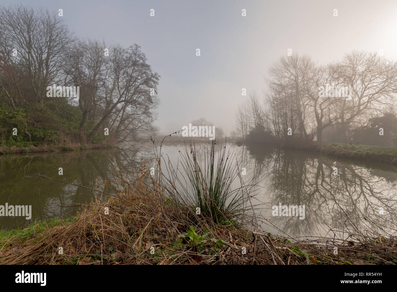 thick mist over countryside Stock Photo - Alamy