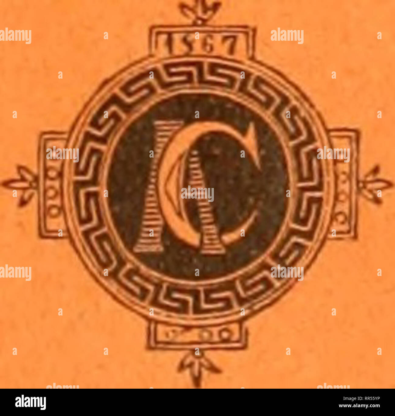 Gammarid hi-res stock photography and images - Alamy